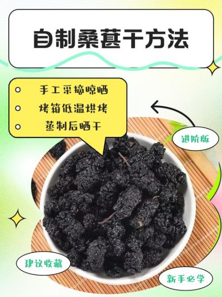 干桑葚怎么吃_干桑葚的正确吃法-第1张图片-山城妙识