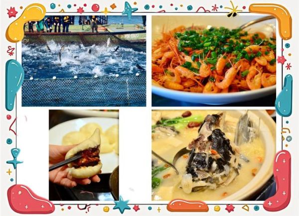 海胖头鱼是什么鱼_海胖头鱼好吃吗-第1张图片-山城妙识 海胖头鱼是什么鱼_海胖头鱼好吃吗-第1张图片-山城妙识