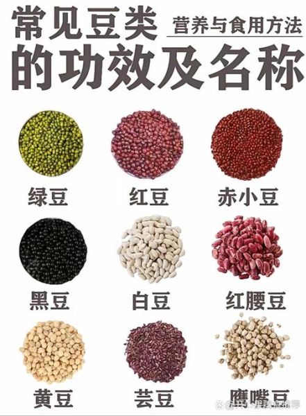 豆类图片大全及名称_常见豆类有哪些-第1张图片-山城妙识 豆类图片大全及名称_常见豆类有哪些-第1张图片-山城妙识