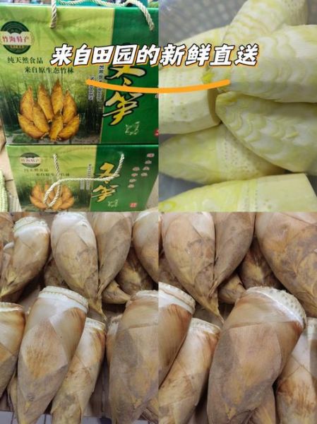 超市袋装冬笋怎么做好吃_袋装冬笋要焯水吗-第3张图片-山城妙识