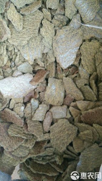 花生饼做肥料怎么发酵_花生饼发酵多久能用-第3张图片-山城妙识 花生饼做肥料怎么发酵_花生饼发酵多久能用-第3张图片-山城妙识