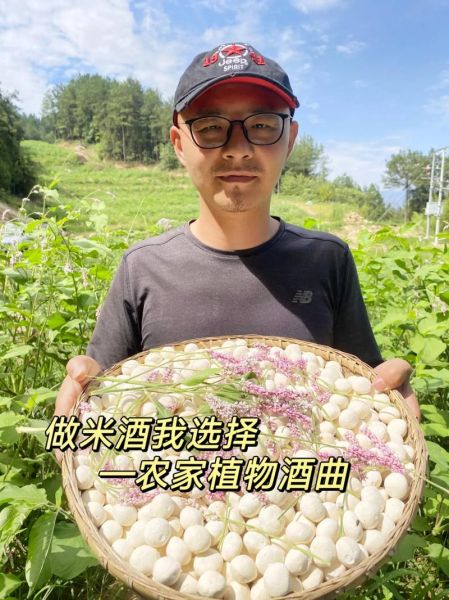 酒曲批发价格多少钱一斤_哪里能买到正宗酒曲-第3张图片-山城妙识 酒曲批发价格多少钱一斤_哪里能买到正宗酒曲-第3张图片-山城妙识