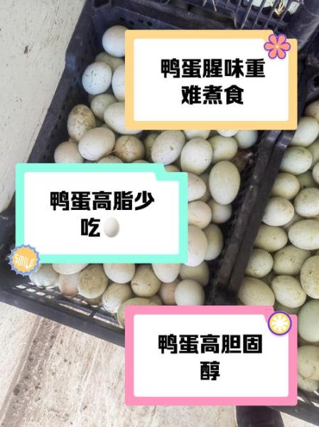 鸭蛋为什么不能白煮吃_白煮鸭蛋的危害-第1张图片-山城妙识