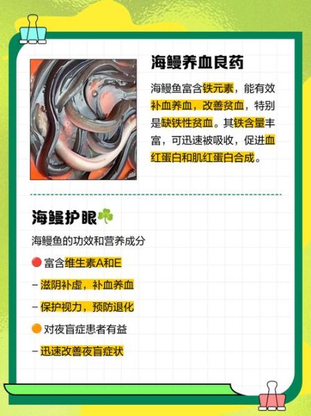 鳗鱼的营养价值_鳗鱼吃多了有什么危害-第2张图片-山城妙识