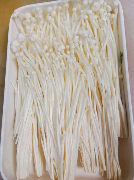 金针菇不能和什么一起吃_金针菇食用禁忌有哪些-第1张图片-山城妙识