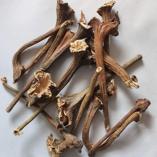 茄子把煮水能治咳嗽吗_茄子蒂止咳偏方真相-第2张图片-山城妙识