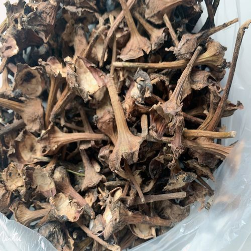 茄子把煮水能治咳嗽吗_茄子蒂止咳偏方真相-第1张图片-山城妙识