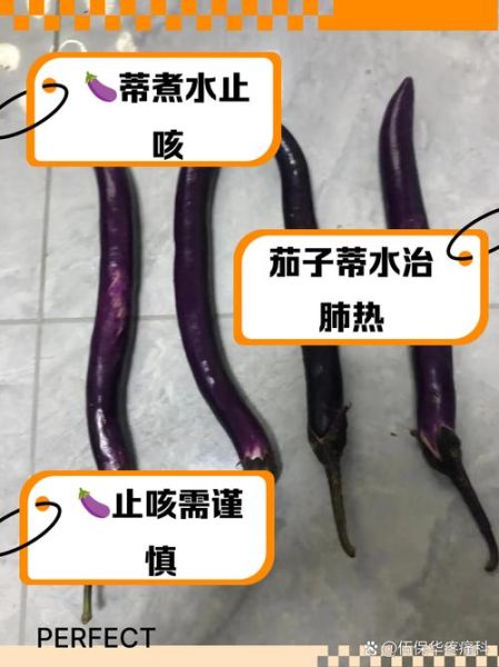 茄子把煮水能治咳嗽吗_茄子蒂止咳偏方真相-第3张图片-山城妙识