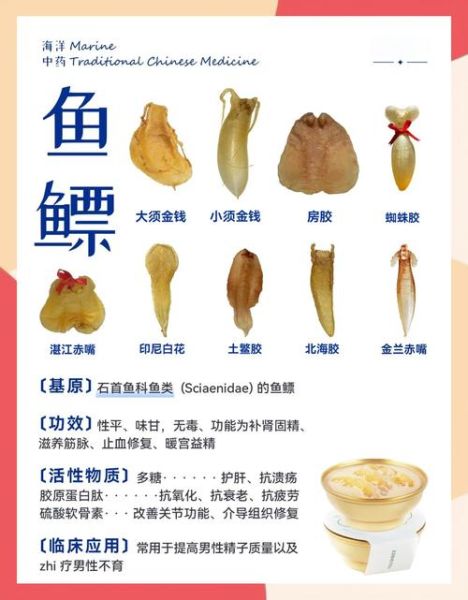 乌贼鱼的功效与作用_乌贼鱼怎么吃最营养-第2张图片-山城妙识