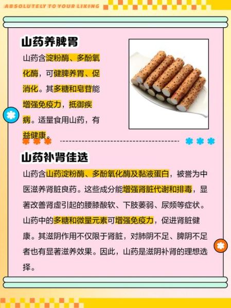 长期吃山药有什么好处_山药的功效与作用-第3张图片-山城妙识 长期吃山药有什么好处_山药的功效与作用-第3张图片-山城妙识