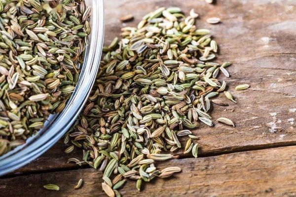 茴香菜和小茴香一样吗_怎么区分-第3张图片-山城妙识 茴香菜和小茴香一样吗_怎么区分-第3张图片-山城妙识