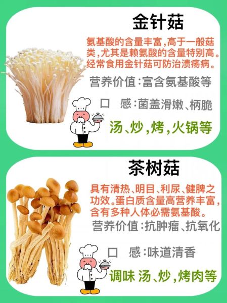 蘑菇种类大全_如何辨别可食用蘑菇-第3张图片-山城妙识 蘑菇种类大全_如何辨别可食用蘑菇-第3张图片-山城妙识