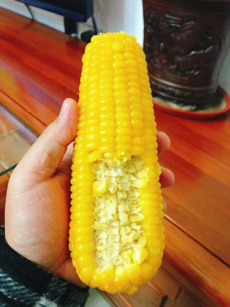 鲜玉米煮多长时间能熟_如何判断玉米煮熟了-第2张图片-山城妙识 鲜玉米煮多长时间能熟_如何判断玉米煮熟了-第2张图片-山城妙识