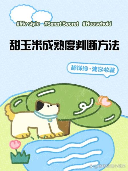 鲜玉米煮多长时间能熟_如何判断玉米煮熟了-第3张图片-山城妙识 鲜玉米煮多长时间能熟_如何判断玉米煮熟了-第3张图片-山城妙识