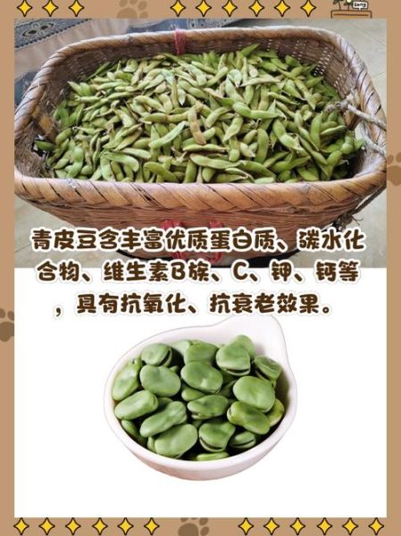 黑皮青豆的功效与作用_黑皮青豆怎么吃最营养-第2张图片-山城妙识