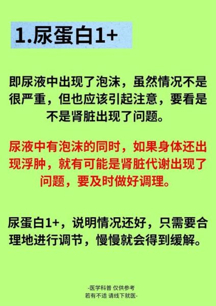 蛋白尿是怎么回事_蛋白尿严重吗-第1张图片-山城妙识 蛋白尿是怎么回事_蛋白尿严重吗-第1张图片-山城妙识
