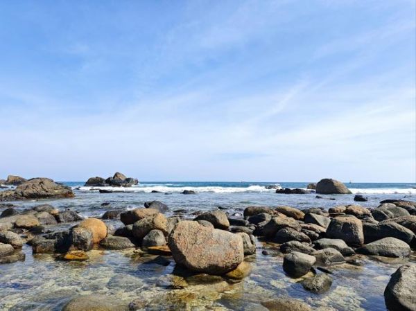 裙边扇贝怎么清洗_裙边扇贝清洗技巧-第2张图片-山城妙识 裙边扇贝怎么清洗_裙边扇贝清洗技巧-第2张图片-山城妙识