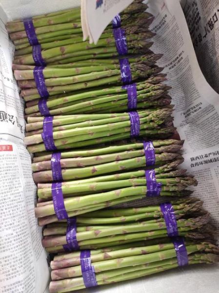 芦笋亩产多少斤_芦笋价格多少钱一斤-第3张图片-山城妙识