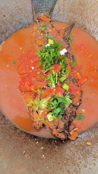 番茄炖鱼怎么做_番茄炖鱼用哪种鱼最好-第1张图片-山城妙识 番茄炖鱼怎么做_番茄炖鱼用哪种鱼最好-第1张图片-山城妙识