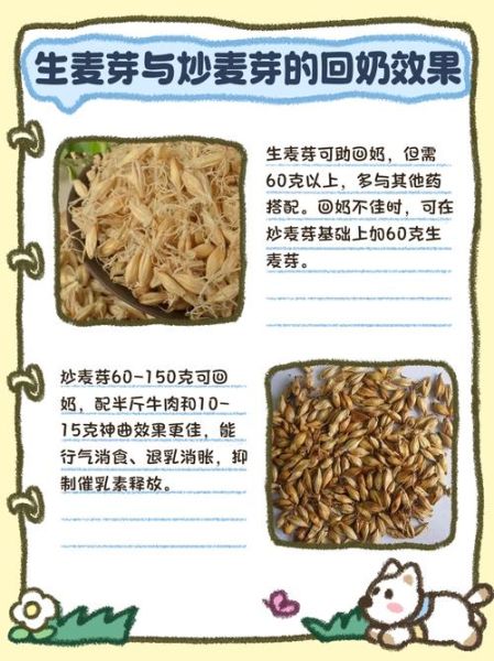 生麦芽喝炒麦芽哪个回奶_回奶用生麦芽还是炒麦芽-第1张图片-山城妙识 生麦芽喝炒麦芽哪个回奶_回奶用生麦芽还是炒麦芽-第1张图片-山城妙识