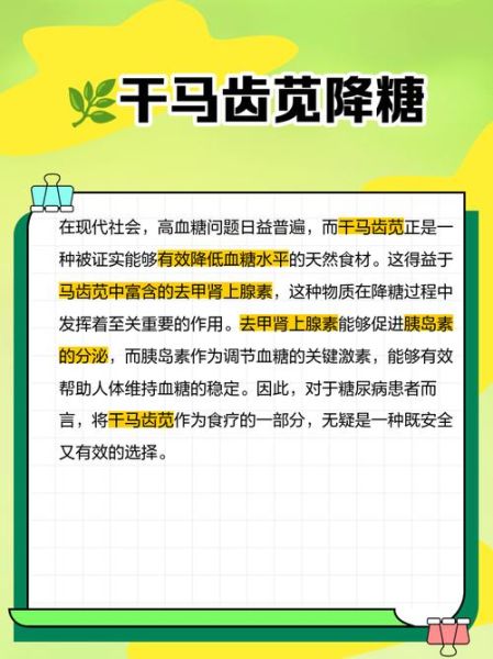 干马齿苋怎么做好吃_干马齿苋的做法大全-第1张图片-山城妙识