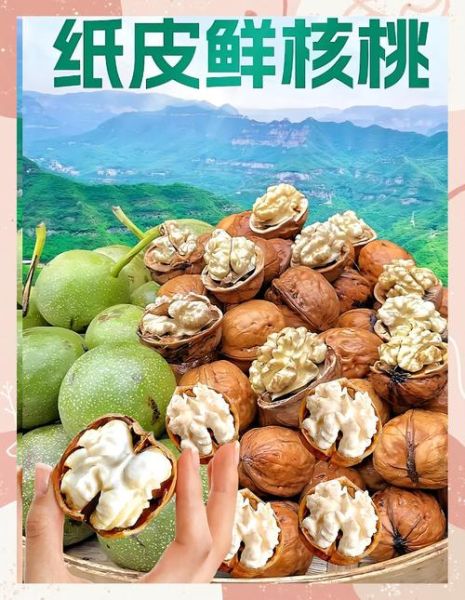 鲜核桃皮的功效与作用_鲜核桃皮怎么使用-第3张图片-山城妙识