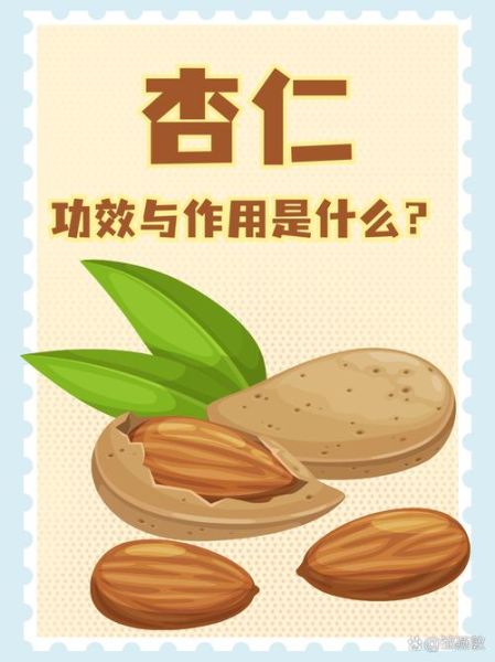 杏仁的药用价值_杏仁的功效与作用-第1张图片-山城妙识 杏仁的药用价值_杏仁的功效与作用-第1张图片-山城妙识