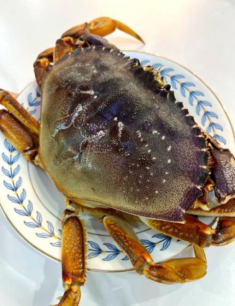 珍宝蟹蒸多久才熟_蒸珍宝蟹需要几分钟-第1张图片-山城妙识 珍宝蟹蒸多久才熟_蒸珍宝蟹需要几分钟-第1张图片-山城妙识