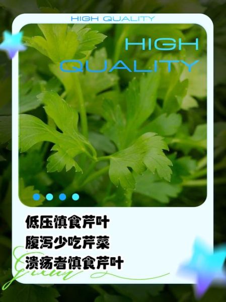 芹菜叶的功效与作用及禁忌_什么人不能吃-第1张图片-山城妙识 芹菜叶的功效与作用及禁忌_什么人不能吃-第1张图片-山城妙识