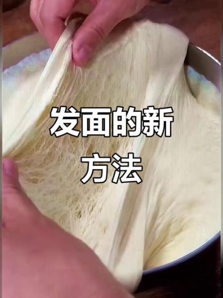 发面包子怎么做_发面包子蒸多久才松软-第2张图片-山城妙识 发面包子怎么做_发面包子蒸多久才松软-第2张图片-山城妙识
