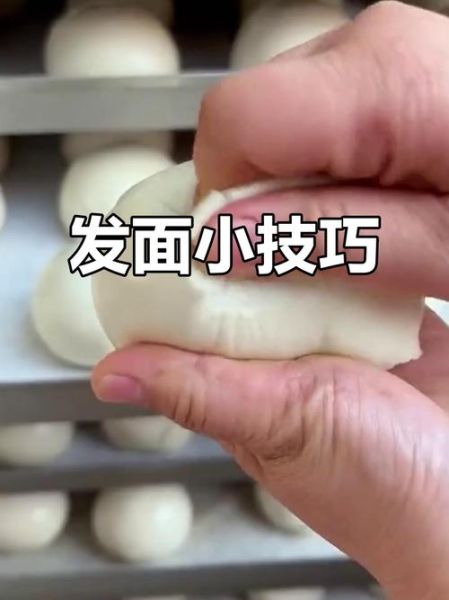 发面包子怎么做_发面包子蒸多久才松软-第3张图片-山城妙识 发面包子怎么做_发面包子蒸多久才松软-第3张图片-山城妙识