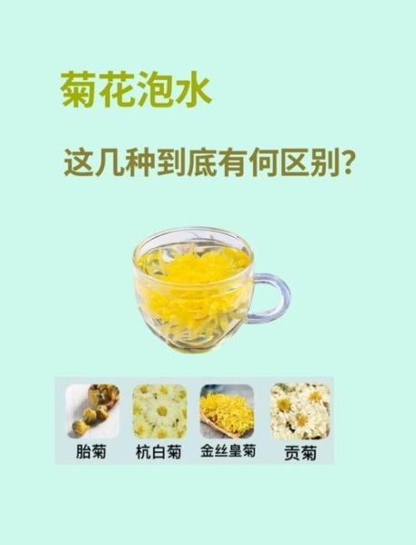 干菊花泡水的正确泡法_干菊花泡水温度多少合适-第1张图片-山城妙识 干菊花泡水的正确泡法_干菊花泡水温度多少合适-第1张图片-山城妙识