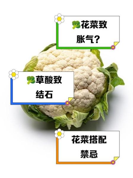 花菜的营养价值_花菜有哪些功效与作用-第2张图片-山城妙识