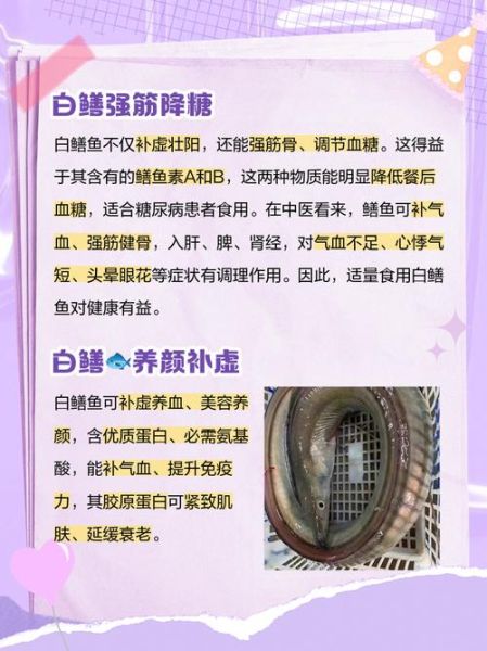 黄鳝拱白菜是什么意思_黄鳝拱白菜的典故来源-第3张图片-山城妙识 黄鳝拱白菜是什么意思_黄鳝拱白菜的典故来源-第3张图片-山城妙识