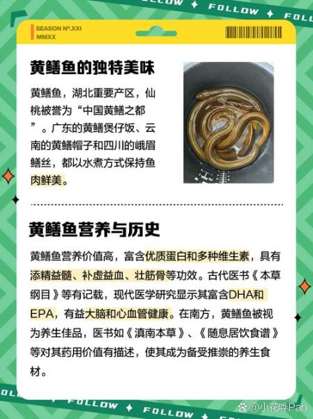 黄鳝拱白菜是什么意思_黄鳝拱白菜的典故来源-第2张图片-山城妙识 黄鳝拱白菜是什么意思_黄鳝拱白菜的典故来源-第2张图片-山城妙识