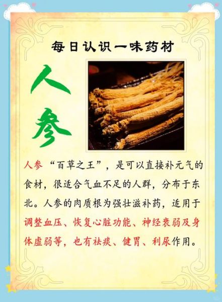 人参的功效与作用_人参怎么吃效果最好-第1张图片-山城妙识 人参的功效与作用_人参怎么吃效果最好-第1张图片-山城妙识