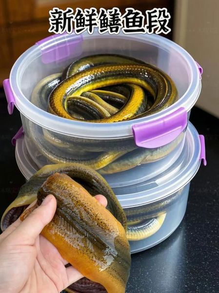 鳝鱼怎么杀_鳝鱼宰杀步骤-第3张图片-山城妙识 鳝鱼怎么杀_鳝鱼宰杀步骤-第3张图片-山城妙识