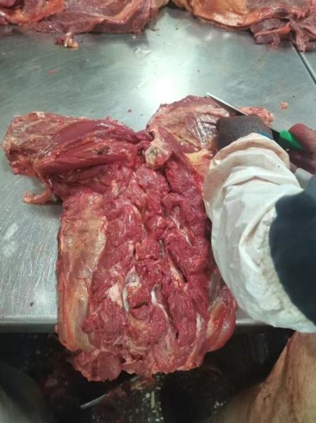 马肉多少钱一斤2020_马肉价格行情-第3张图片-山城妙识