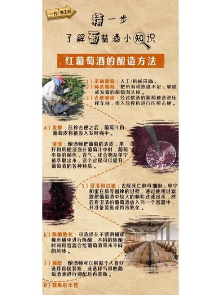 怎样做葡萄酒_家庭自酿葡萄酒的正确做法-第1张图片-山城妙识
