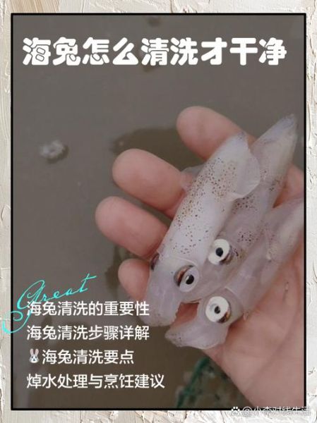 干海兔怎么清洗_干海兔泡发多久-第1张图片-山城妙识