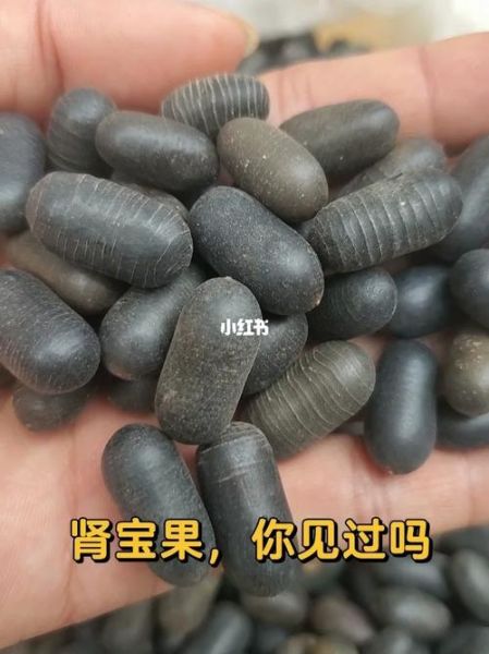 补肾吃什么水果效果最好_肾虚适合吃什么水果-第2张图片-山城妙识