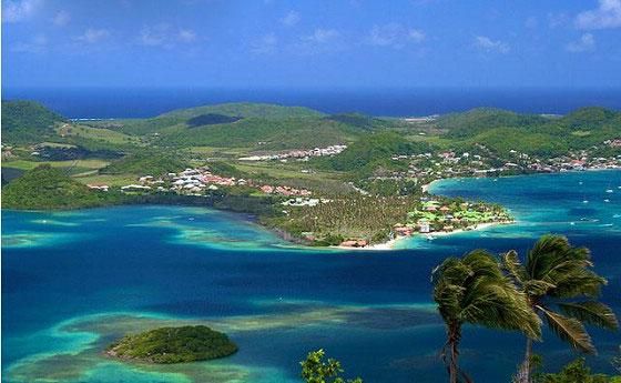 马提尼克岛真的可以长高吗_科学真相揭秘-第3张图片-山城妙识