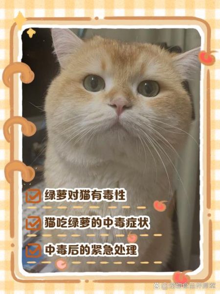 绿萝有毒吗_绿萝对猫狗有害吗-第3张图片-山城妙识