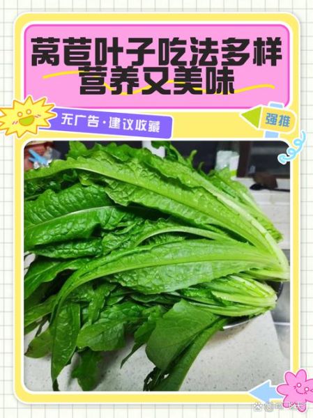 莴笋叶子能吃吗_孕妇能吃莴笋叶吗-第1张图片-山城妙识 莴笋叶子能吃吗_孕妇能吃莴笋叶吗-第1张图片-山城妙识