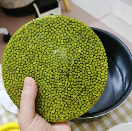 绿豆汤怎么煮是绿色的_绿豆汤变绿秘诀-第1张图片-山城妙识