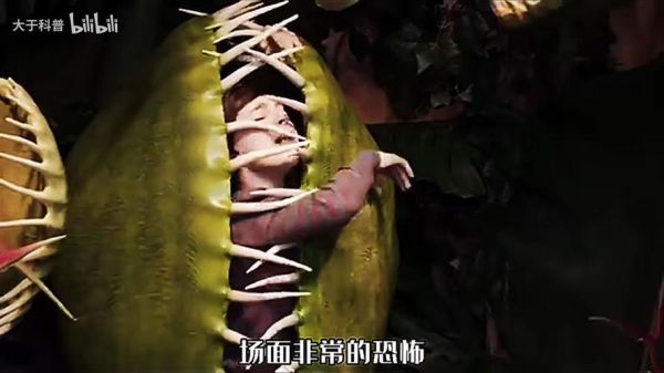 食人花电影剧情解析_食人花电影结局什么意思-第1张图片-山城妙识 食人花电影剧情解析_食人花电影结局什么意思-第1张图片-山城妙识