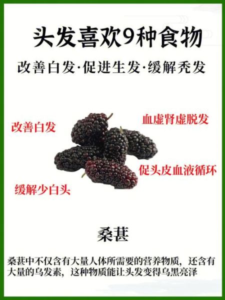 吃什么不掉头发_脱发吃什么食物好-第1张图片-山城妙识