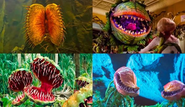 食人花电影剧情解析_食人花电影结局什么意思-第3张图片-山城妙识 食人花电影剧情解析_食人花电影结局什么意思-第3张图片-山城妙识