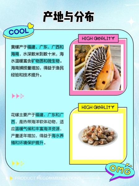 黄螺和花螺的区别_哪个更好吃-第1张图片-山城妙识 黄螺和花螺的区别_哪个更好吃-第1张图片-山城妙识