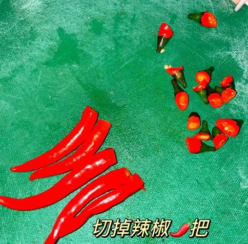 陕西辣子酱怎么做_陕西辣子酱家常配方-第1张图片-山城妙识 陕西辣子酱怎么做_陕西辣子酱家常配方-第1张图片-山城妙识